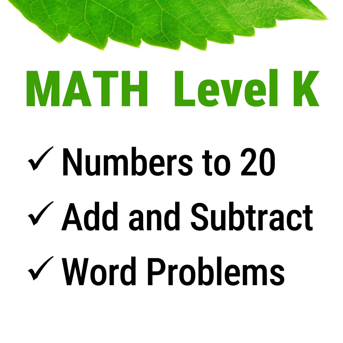 Kindergarten Functional Math Curriculum for Homeschool – Step-by-Step ...