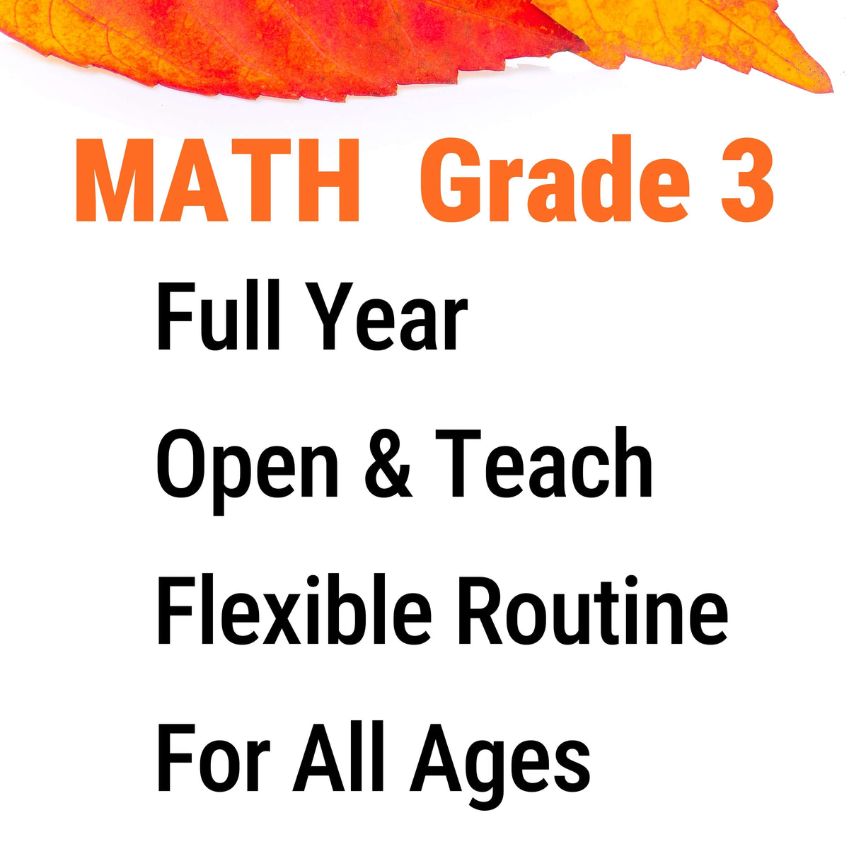 3rd Grade Homeschool Math Curriculum for Special Needs – Step-by-Step ...